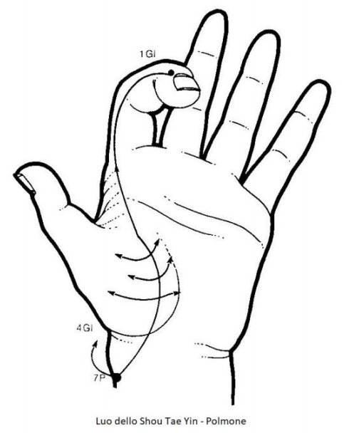 Meridiani e punti Luò 絡 secondo il Maestro Jeffrey Yuen